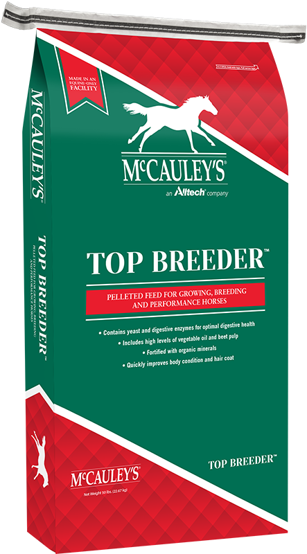 McCauley's Top Breeder Cube - Simpsonville, KY - Feed Bucket